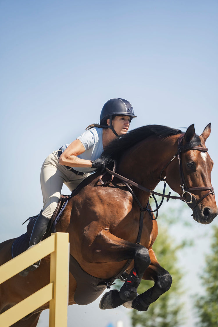 Show Jumping 101: Key Skills & Training Strategies for Clear Rounds ...