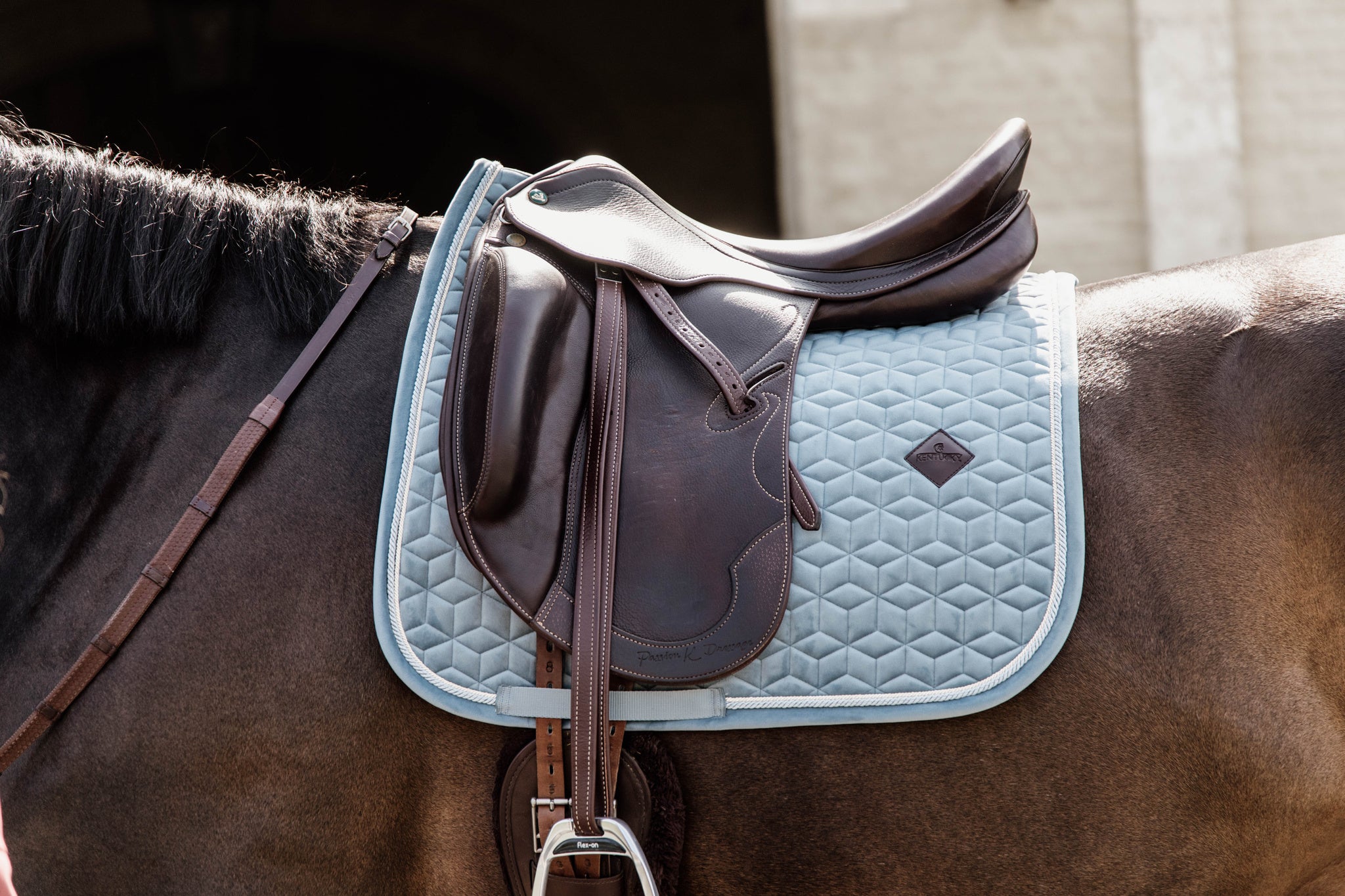 Velvet Matching Set - Light Blue – EquiZone Online