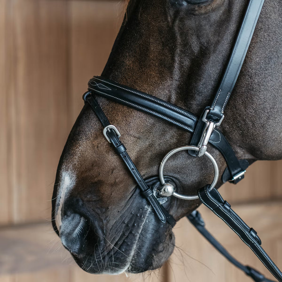 Training Bridle WO – EquiZone Online