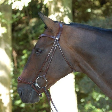 Drop Noseband Snaffle Bridle – EquiZone Online
